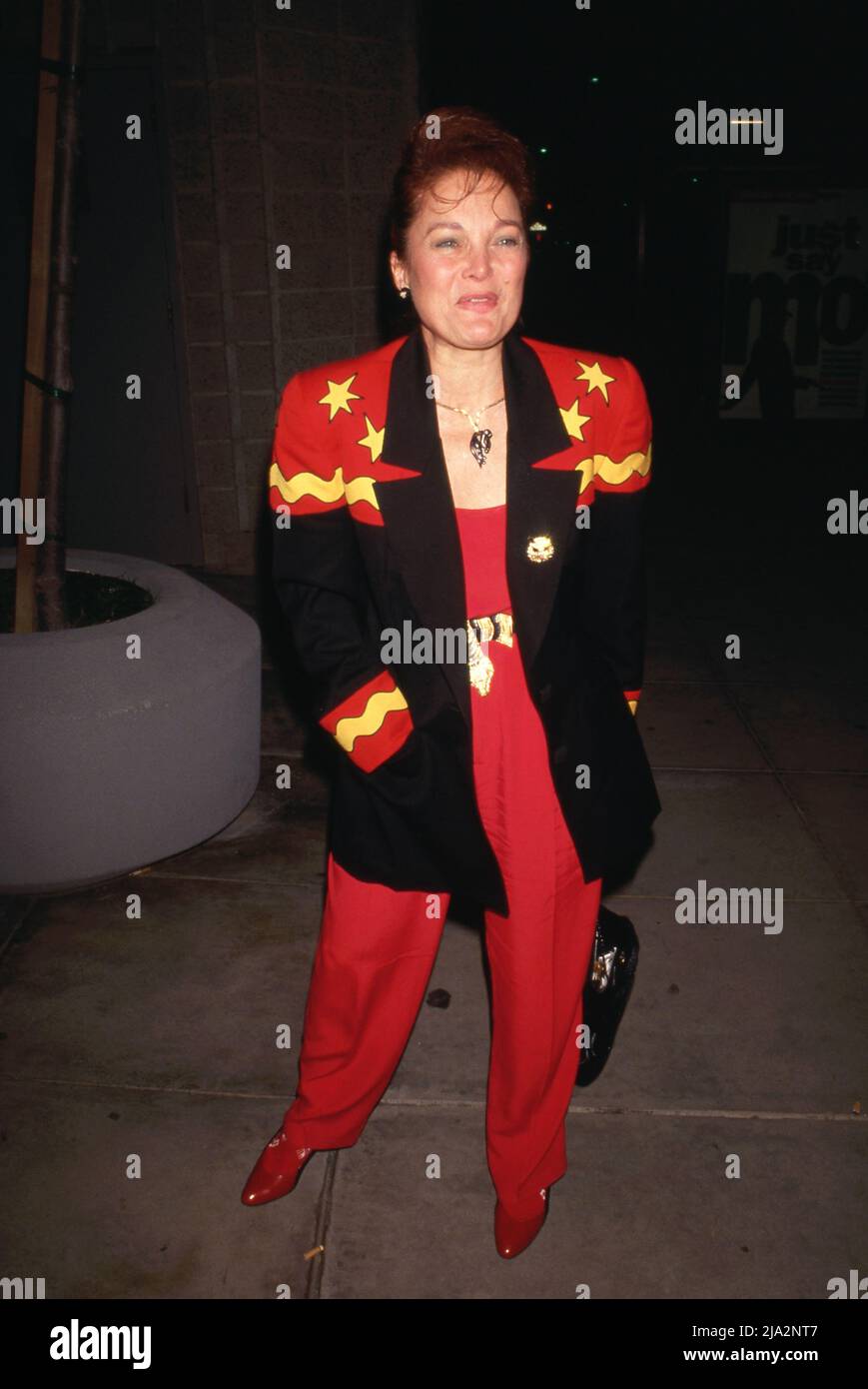 Carol Connors um die 1980er Jahre Credit: Ralph Dominguez/MediaPunch ...