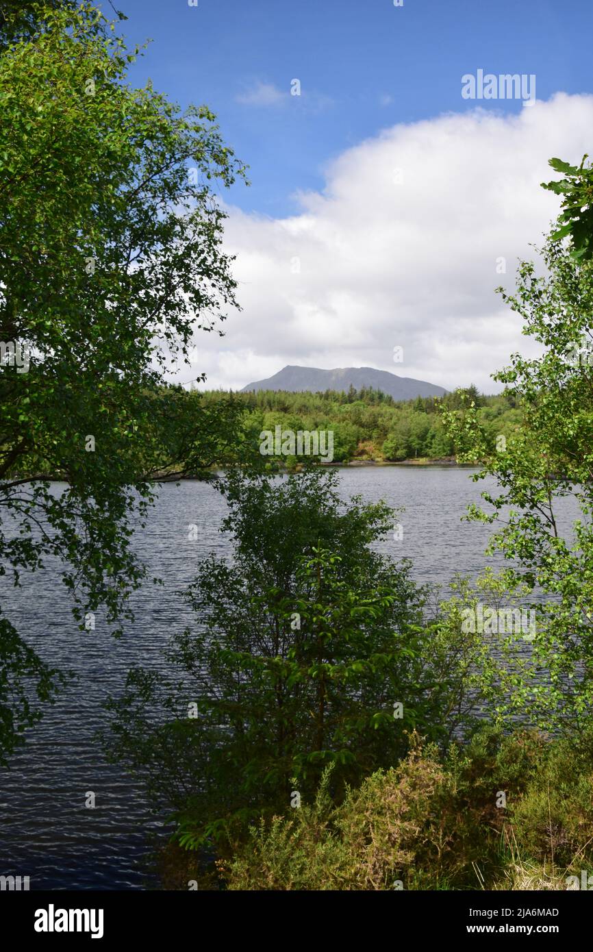 Hoch über Betws-y-Coed liegt Llyn Elsi, umgeben von Wald und mehreren ...