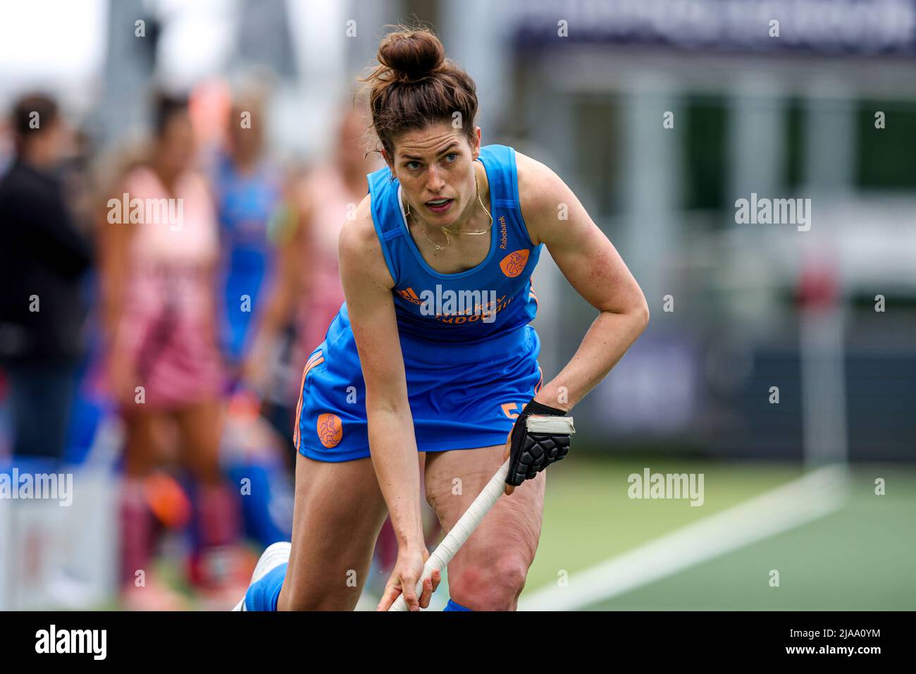 Sportcomplex de kluis -Fotos und -Bildmaterial in hoher Auflösung – Alamy