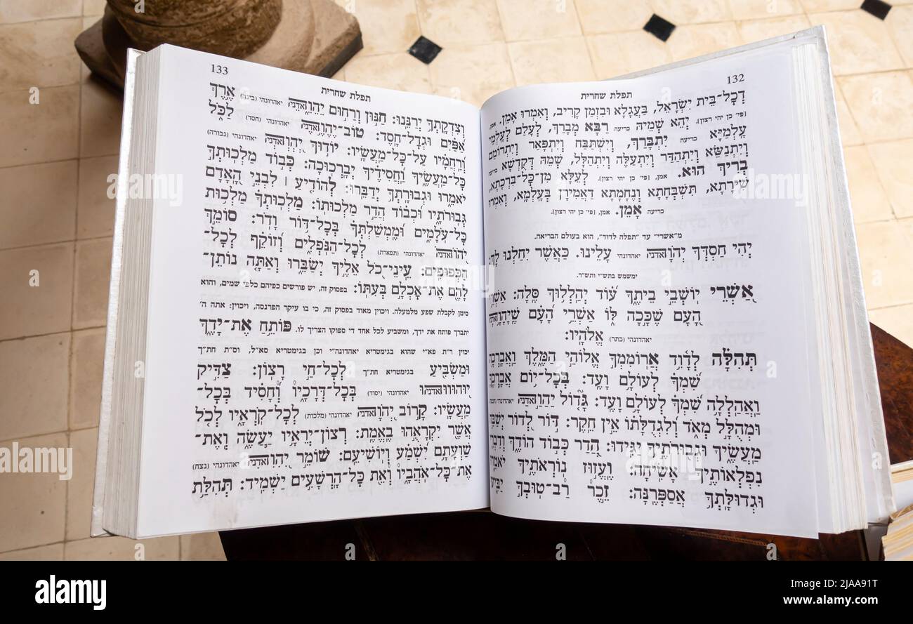 Torah eröffnete im Bayt Dakira, Museum für jüdische Kultur und Judentum ...
