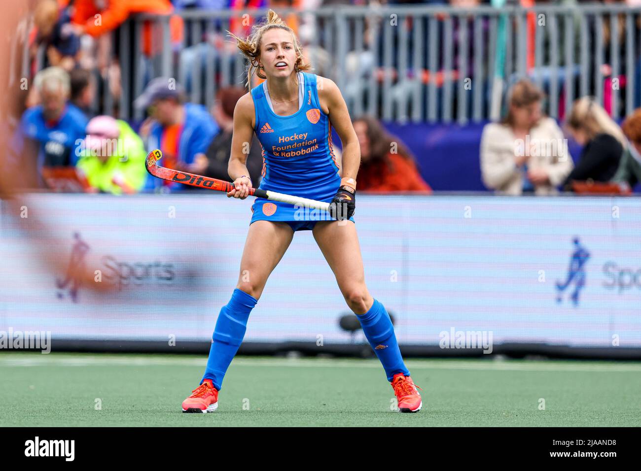 Sportcomplex de kluis -Fotos und -Bildmaterial in hoher Auflösung – Alamy