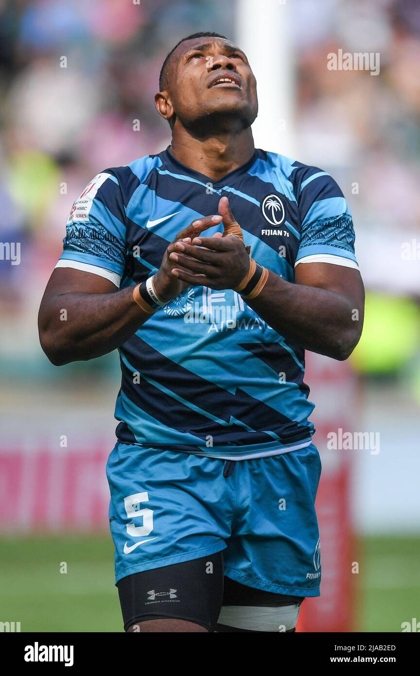 Elia canakaivata -Fotos und -Bildmaterial in hoher Auflösung – Alamy