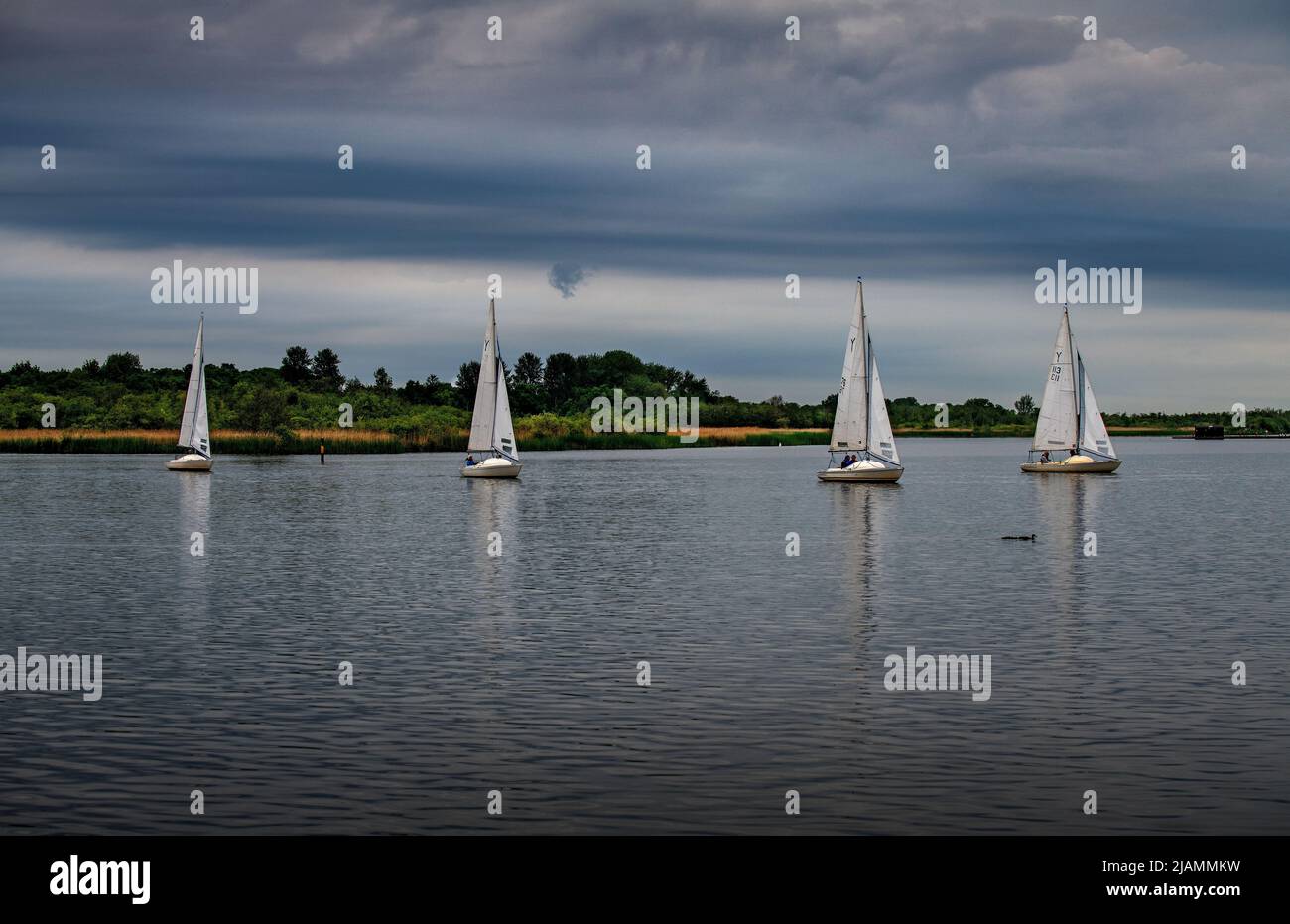 Norfolk Broads Norfolk England May 2022 Yachts Crossing Barton Broad ...