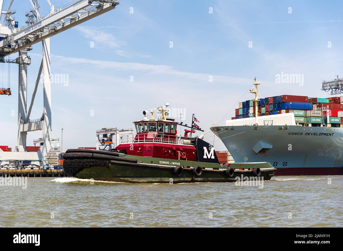 Das COSCO Development Containerschiff, das größte Schiff, das an der ...