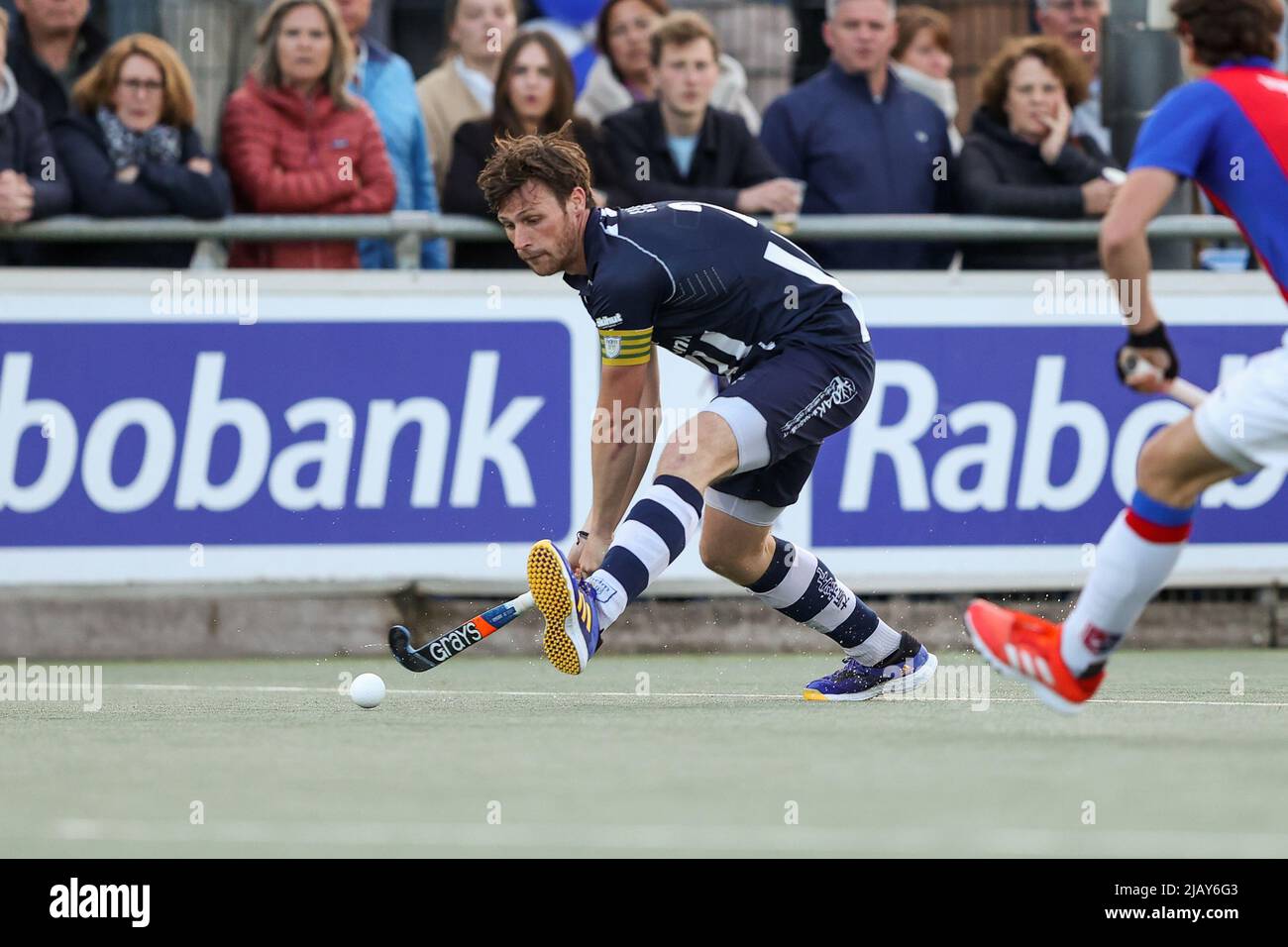 Haagsche delftsche gemischt -Fotos und -Bildmaterial in hoher Auflösung ...