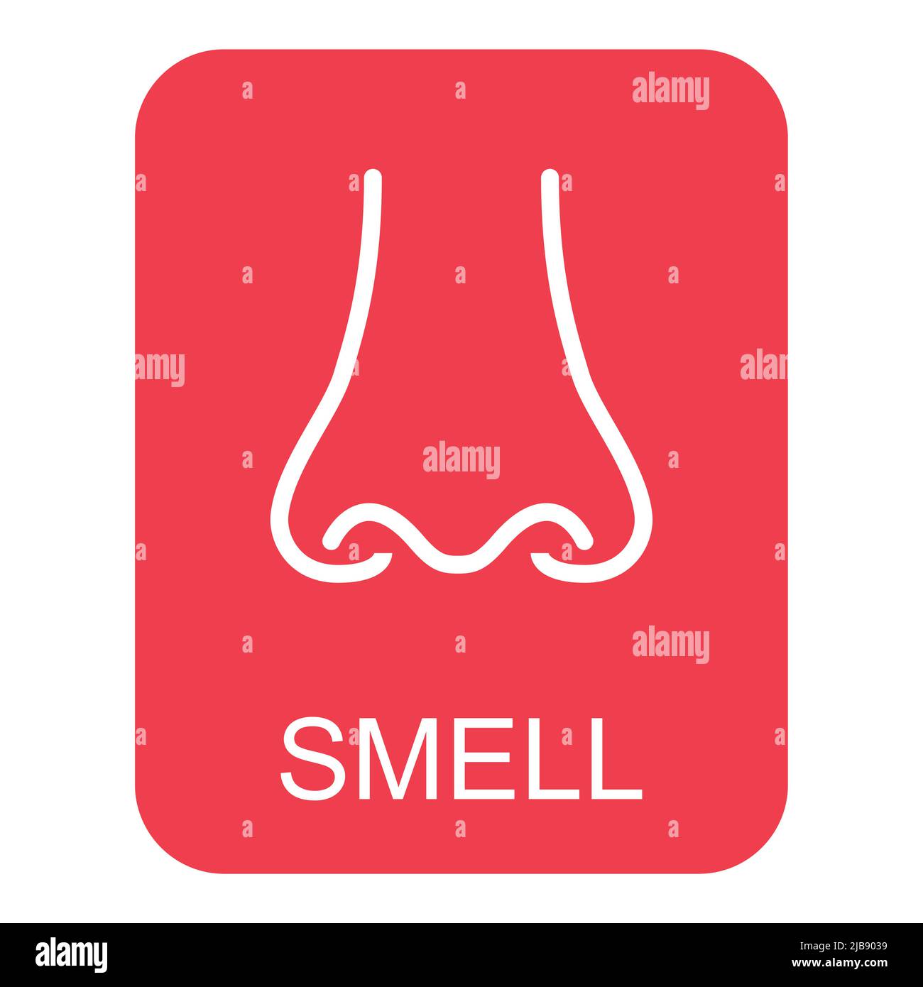 Menschliche Anatomie flache Nase Symbol, Geruch Gesundheit Organ Vektor ...