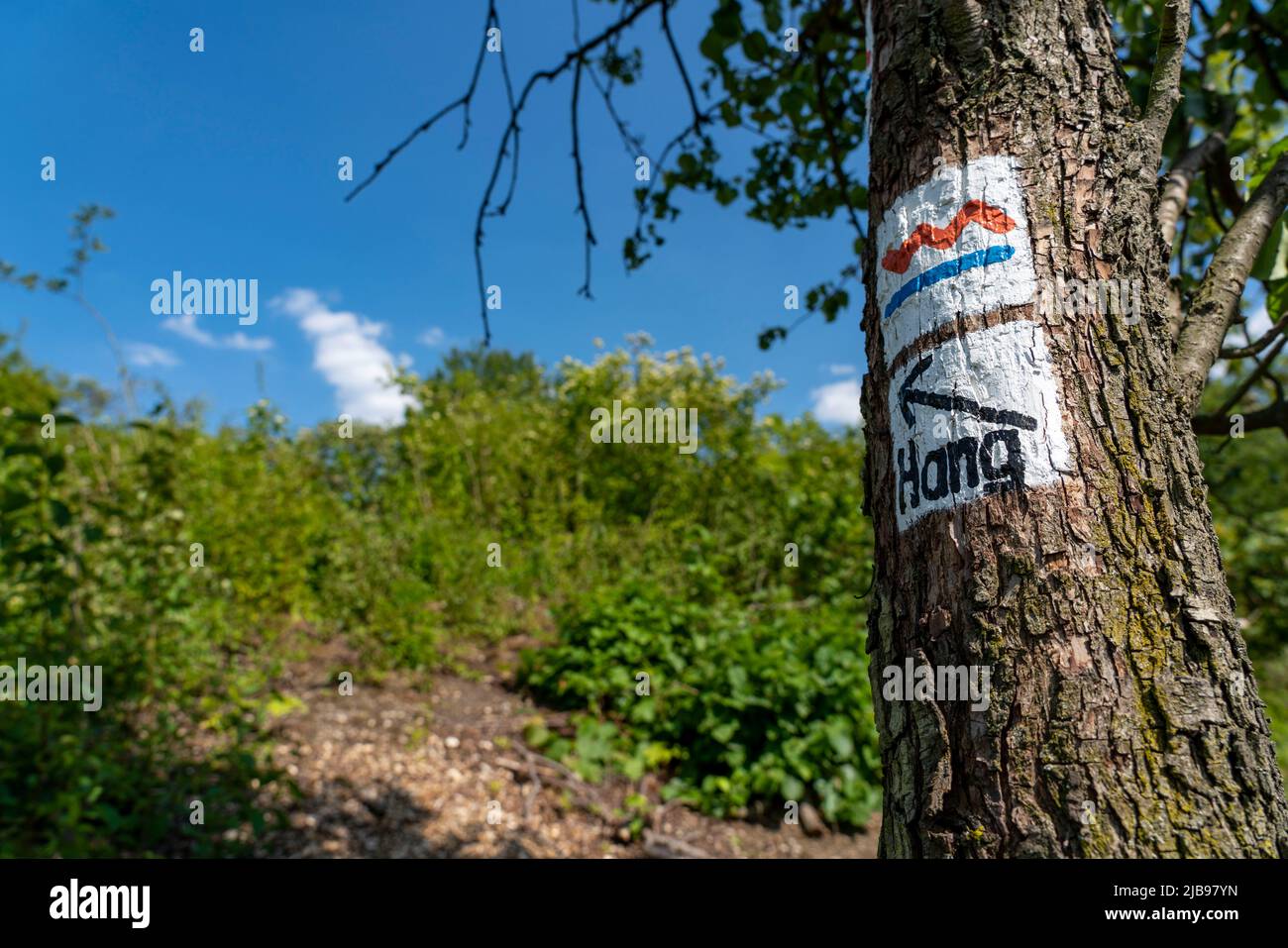 Wanderzeichen, Wegweiser, Logo, des Zollvereinsteigs, Wanderweg im ...