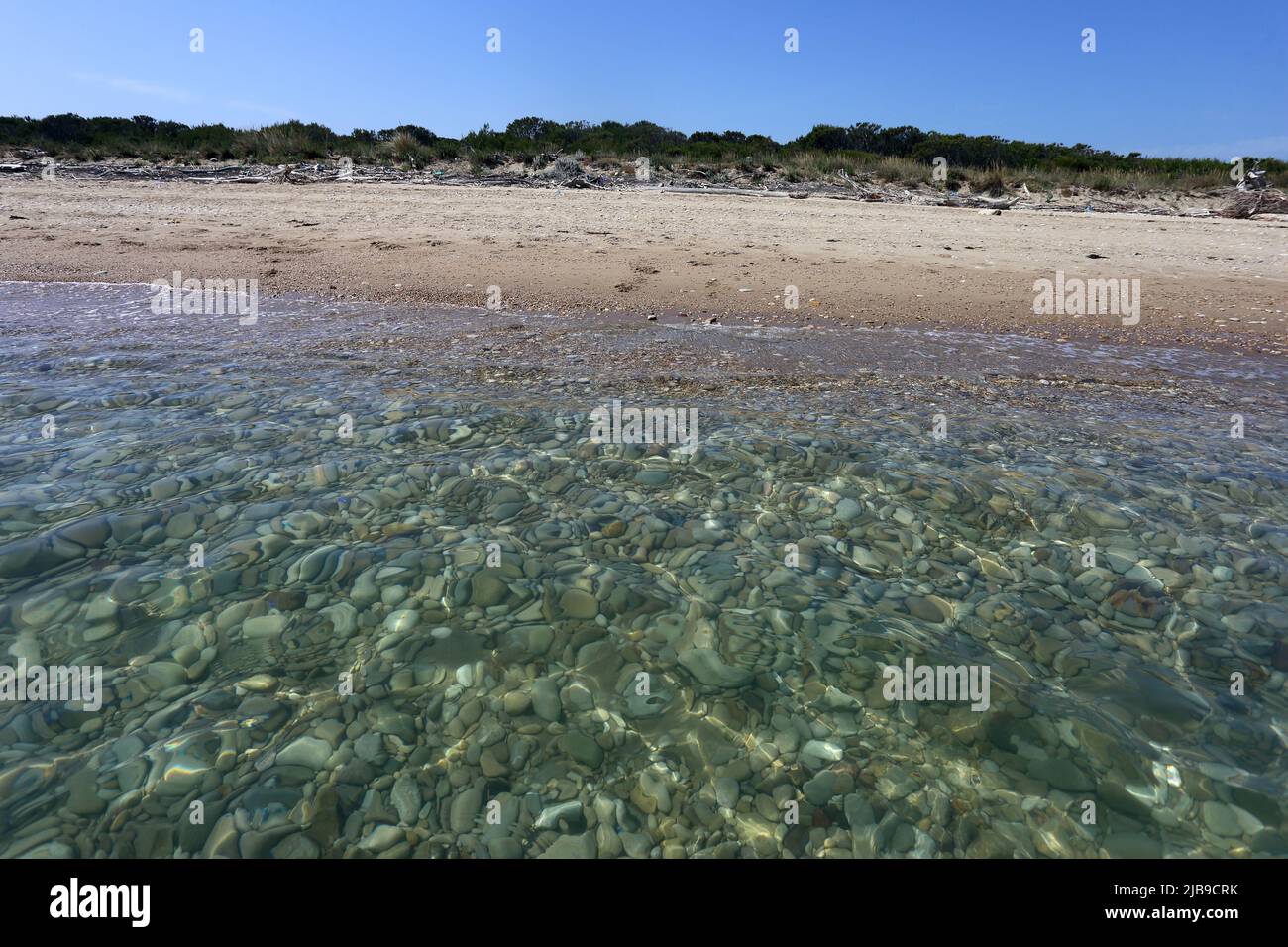 Petacciato, Italia - 3 giugno 2022: la spiaggia le dune la pineta e il ...