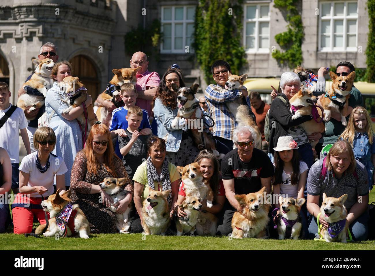 70 Corgis, die auf dem vorderen Rasen bei Balmoral während einer ...