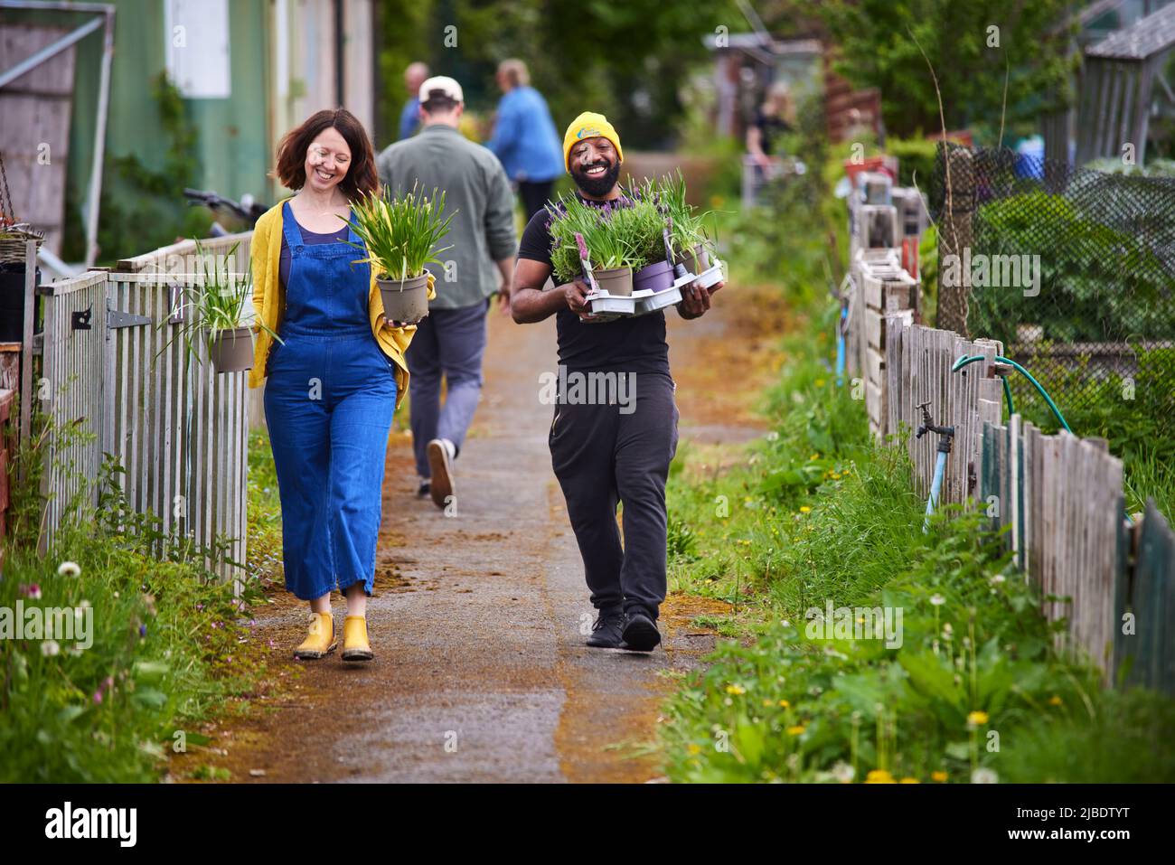 Abbey Hey stellt in Gorton, Manchester, Bienenfreundliche Gärten für ...