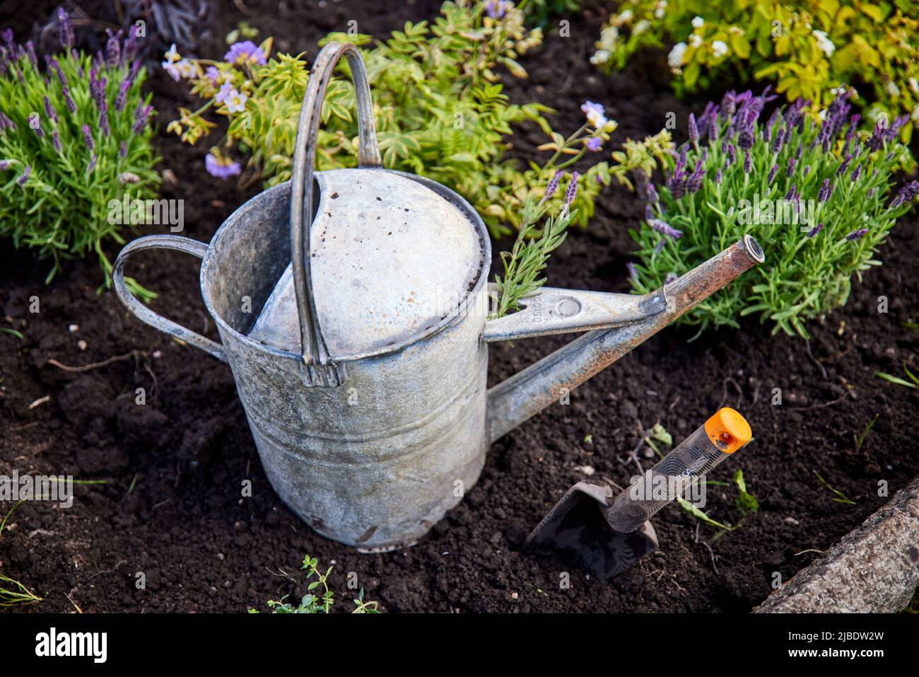 Abbey Hey stellt in Gorton, Manchester, Bienenfreundliche Gärten für ...
