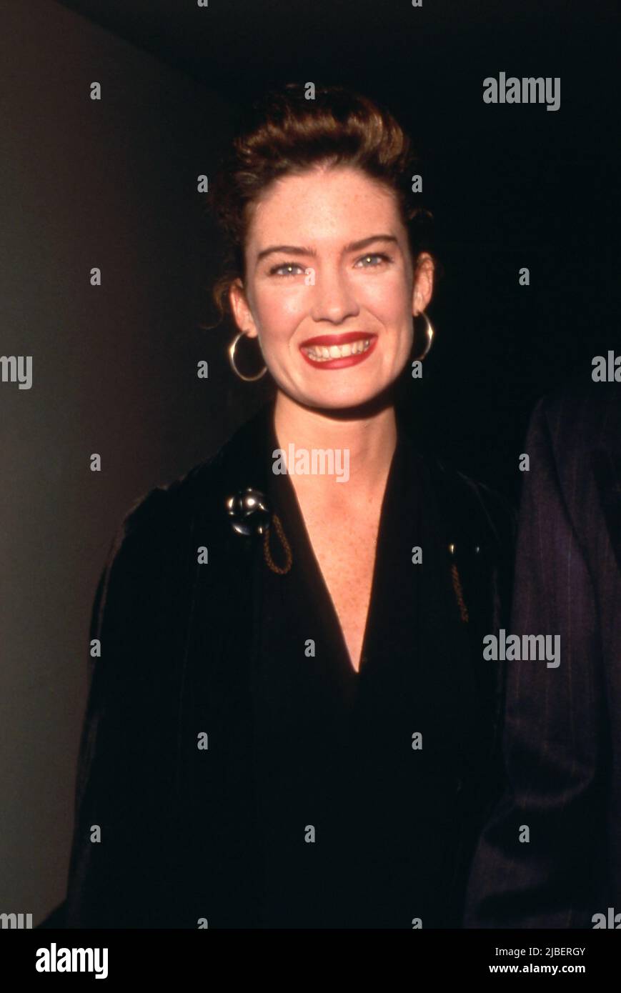 Lara Flynn Boyle beim jährlichen Upton Sinclair Award Dinner 8. im ...