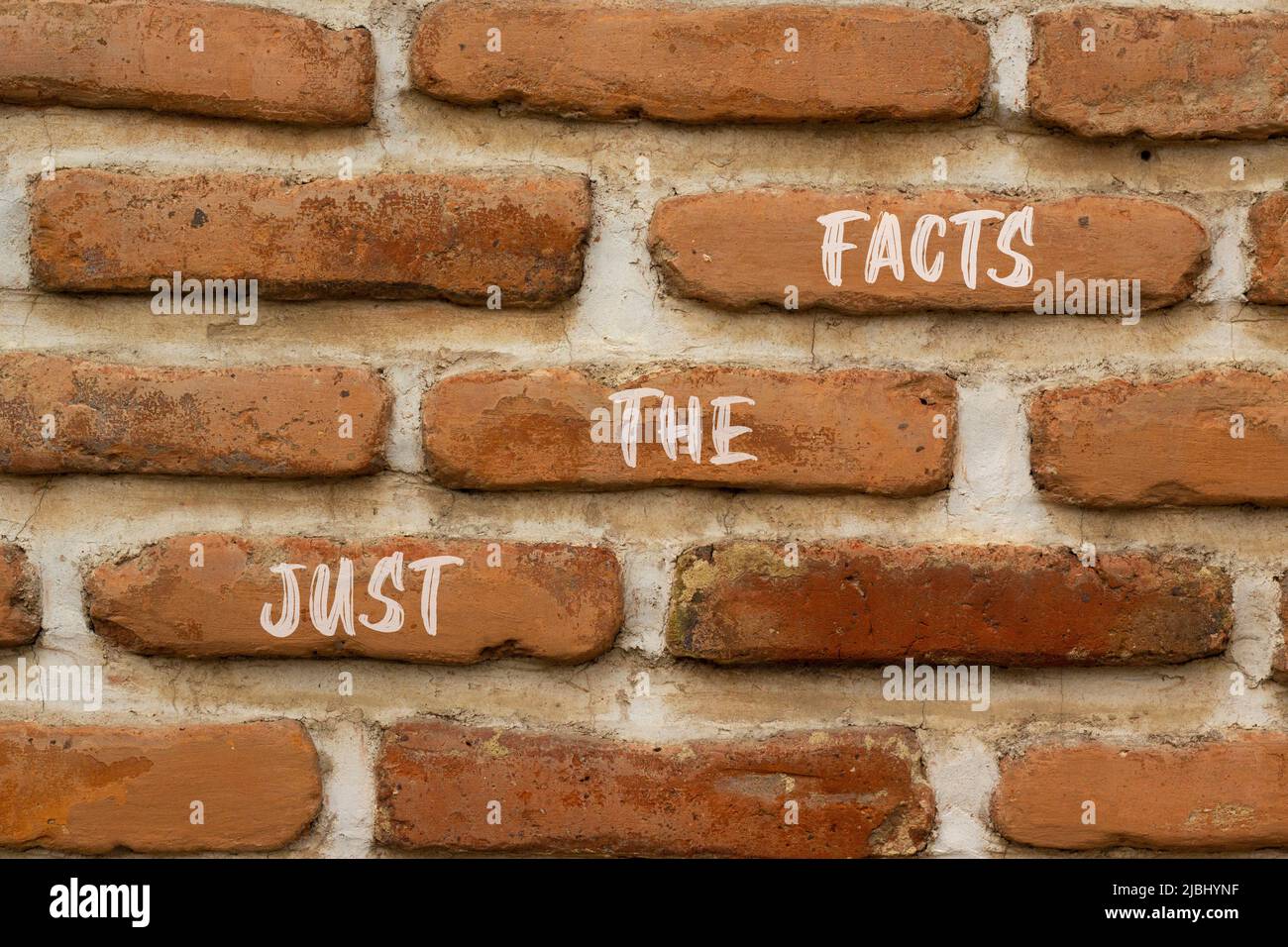 Nur das Fakten-Symbol. Konzept Worte nur die Fakten auf roten Ziegeln ...