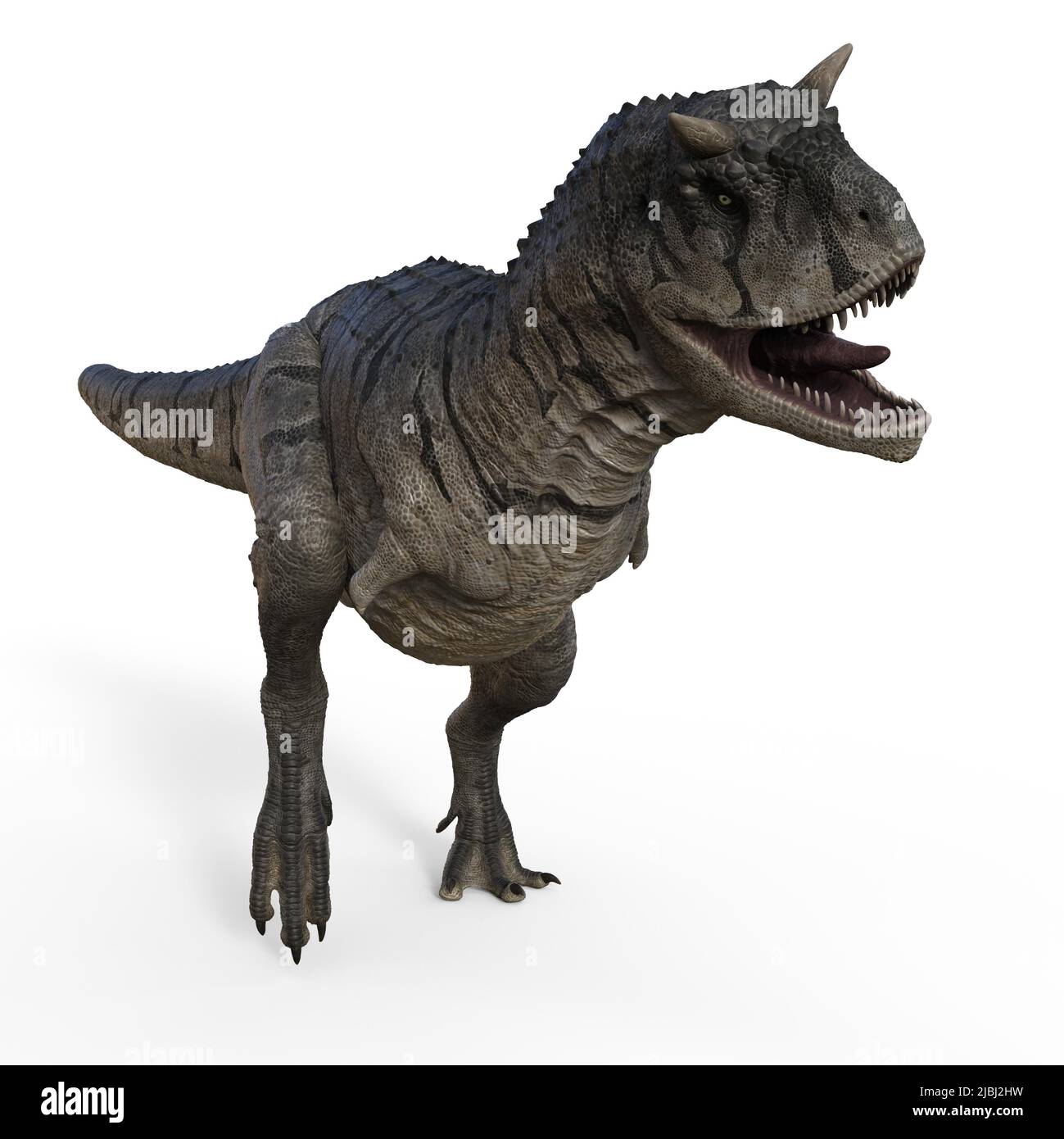 3D-Illustration eines isolierten Dinosauriers carnotaurus Stockfotografie - Alamy