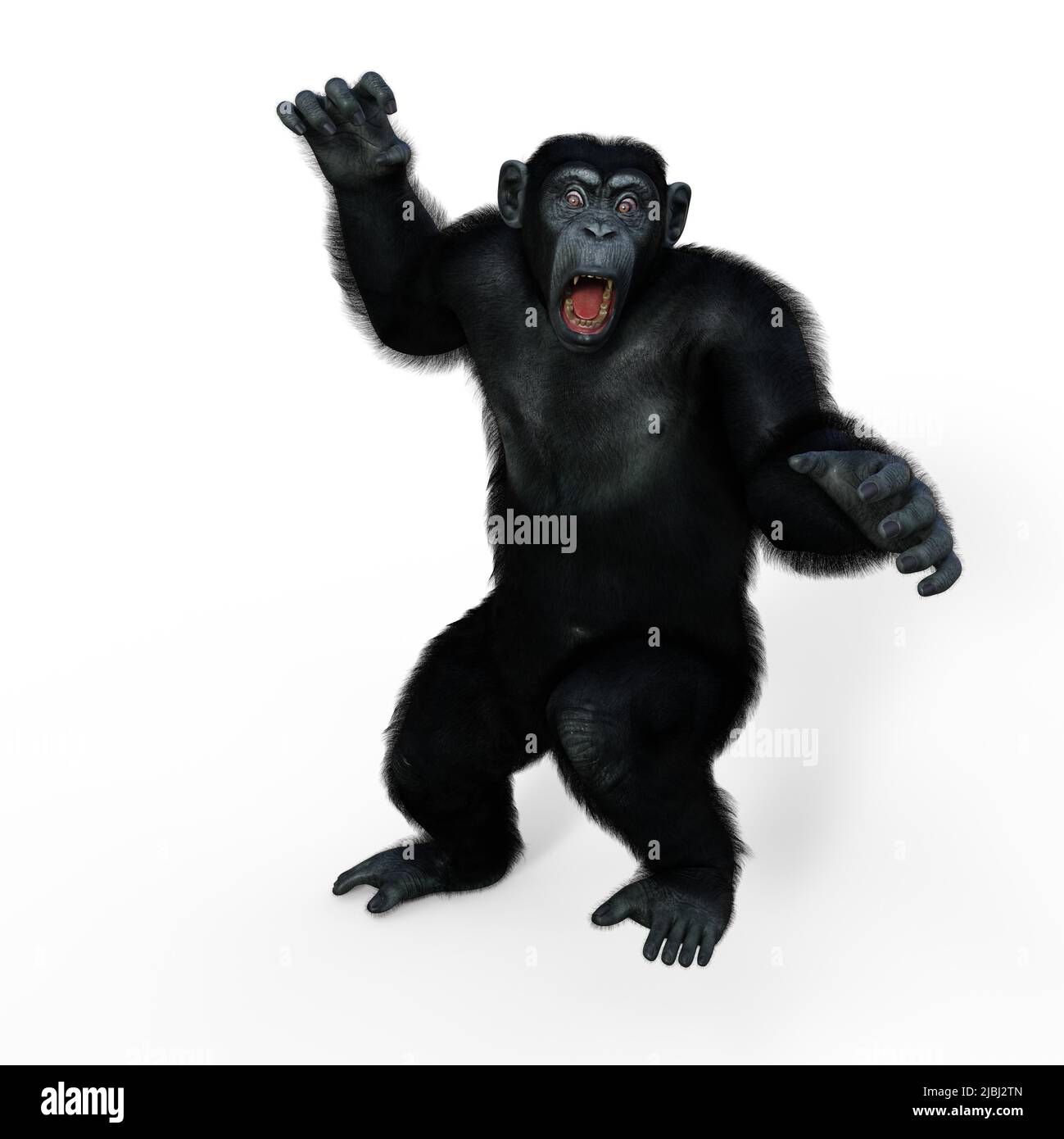 Schimpansen evolution -Fotos und -Bildmaterial in hoher Auflösung – Alamy