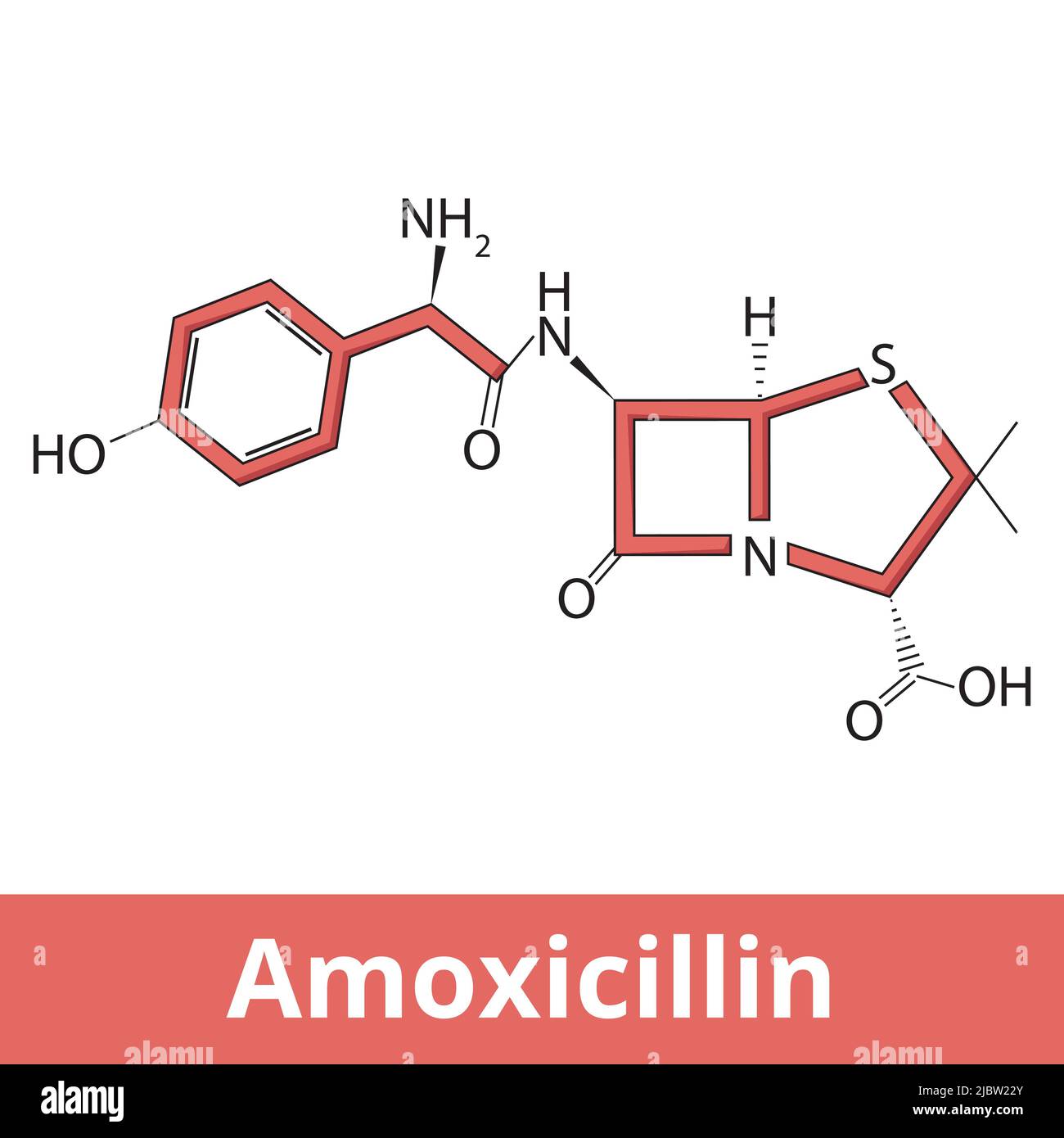 Streptokokken ein antibiotikum -Fotos und -Bildmaterial in hoher ...