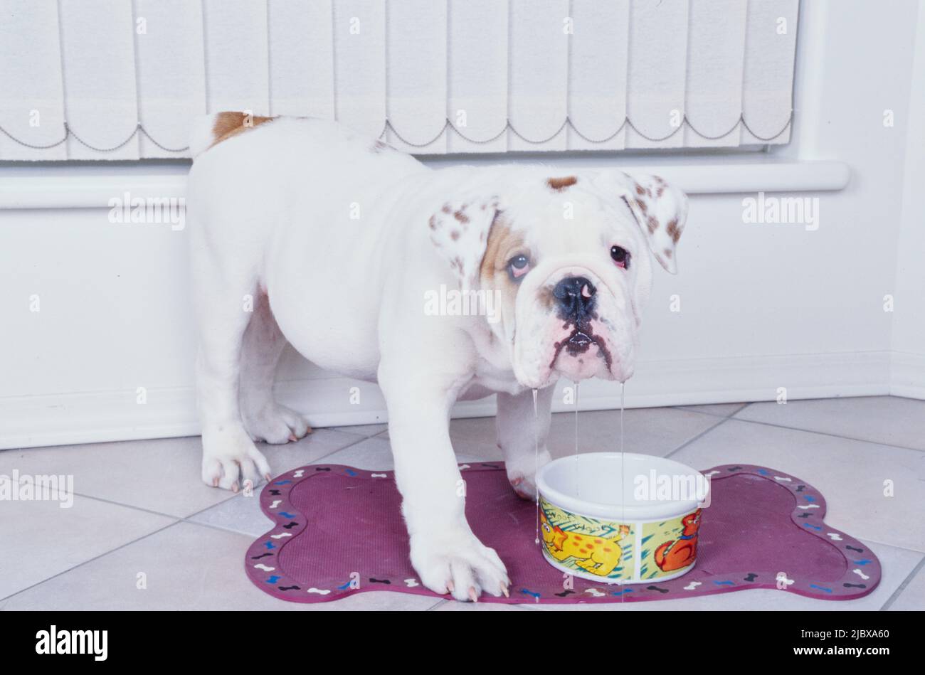 Mund Trinken Stockfotos Und Bilder Kaufen Alamy