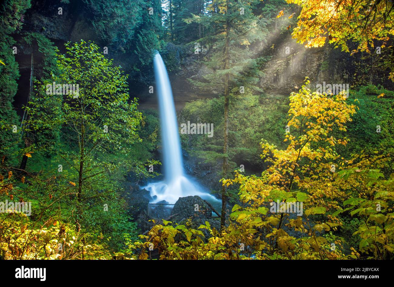 Parque nacional de silver falls state park -Fotos und -Bildmaterial in ...
