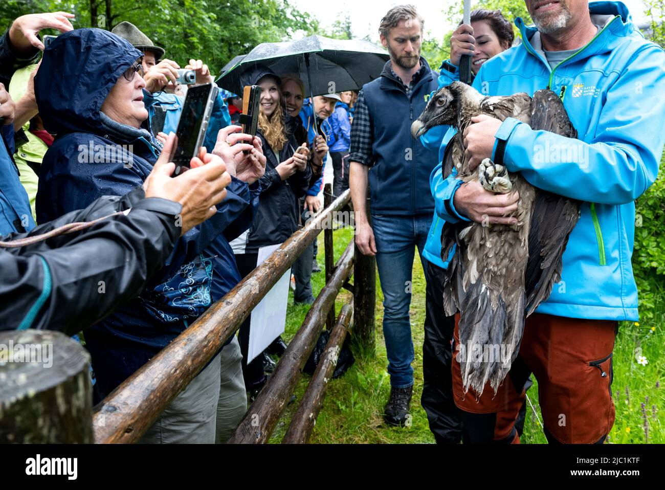 Ramsau Bei Berchtesgaden, Deutschland. 09.. Juni 2022. Ein Mitarbeiter ...