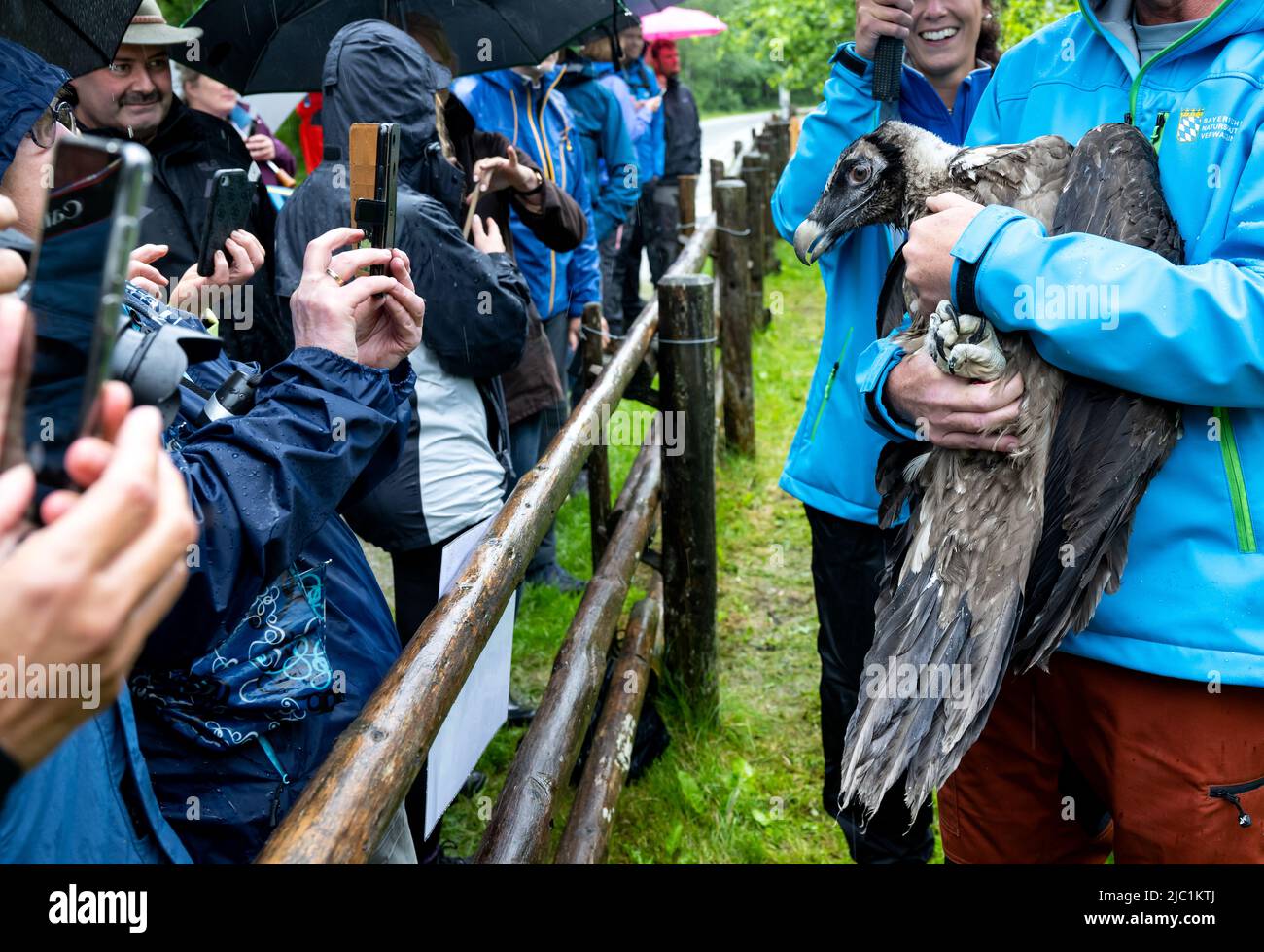 Ramsau Bei Berchtesgaden, Deutschland. 09.. Juni 2022. Ein Mitarbeiter ...