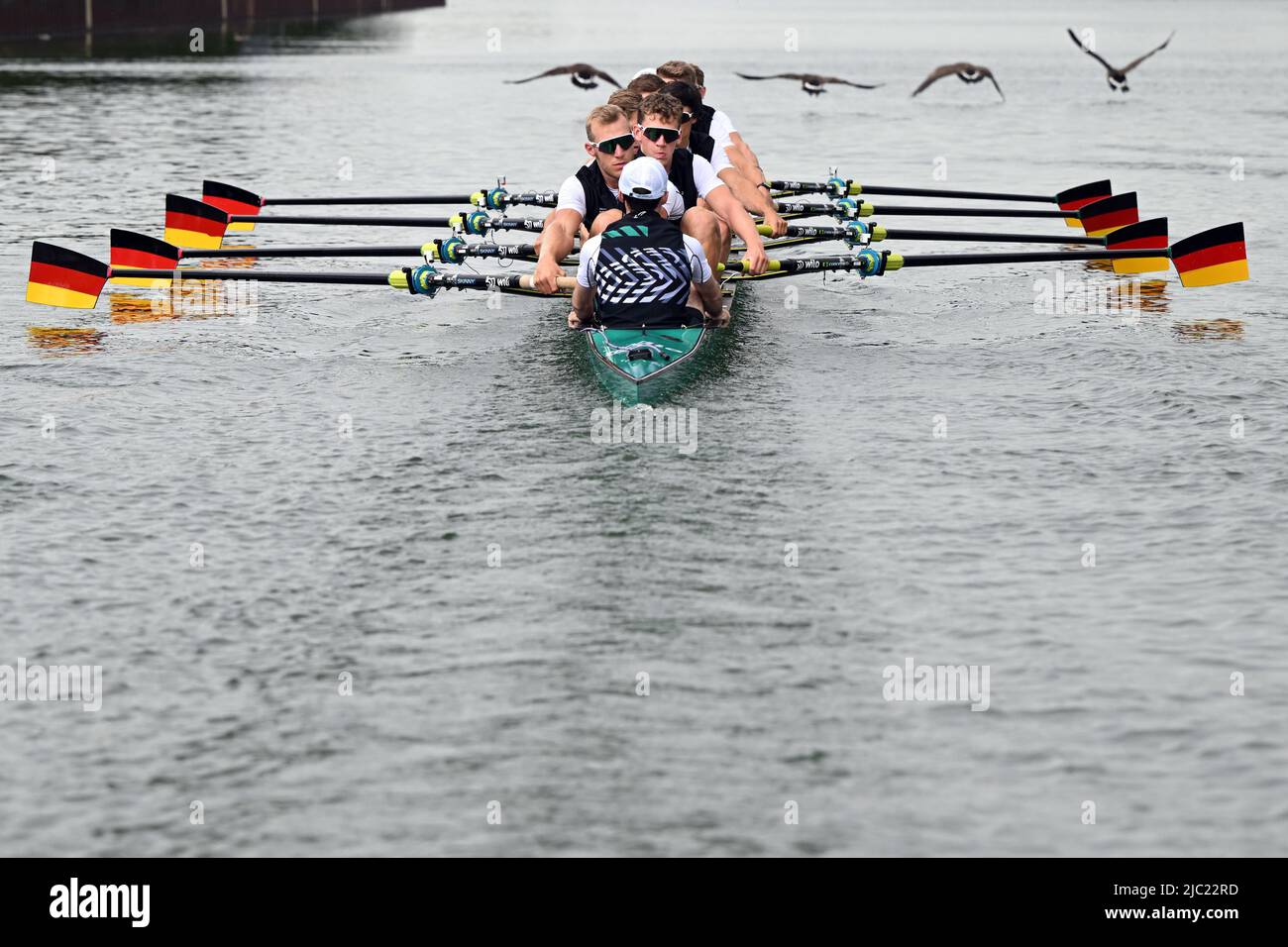 Jonas ems -Fotos und -Bildmaterial in hoher Auflösung – Alamy