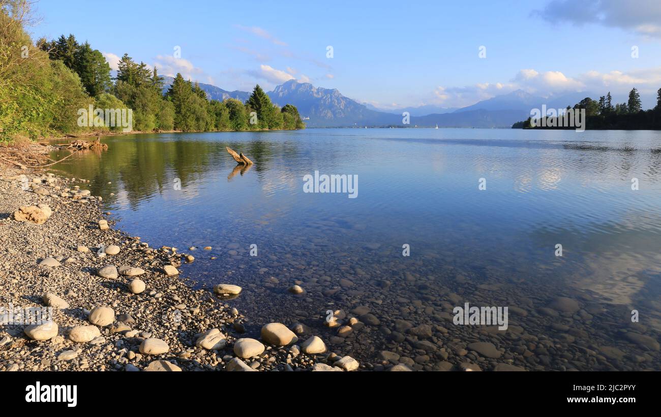Allgau am forggensee -Fotos und -Bildmaterial in hoher Auflösung ...