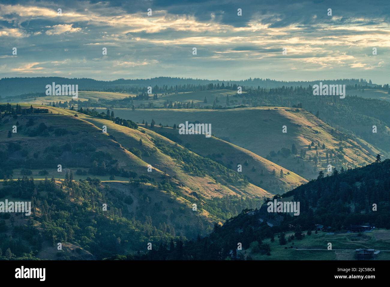 USA, Oregon, Columbia River Gorge, Rowena Plateau Loop, *** Local ...