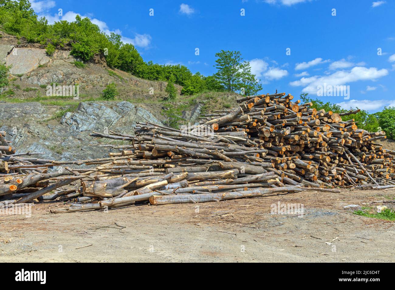 Haufen baumstämme -Fotos und -Bildmaterial in hoher Auflösung – Alamy