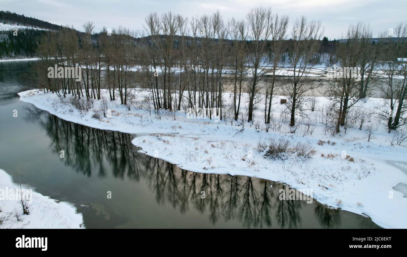 Lala tulpan -Fotos und -Bildmaterial in hoher Auflösung – Alamy