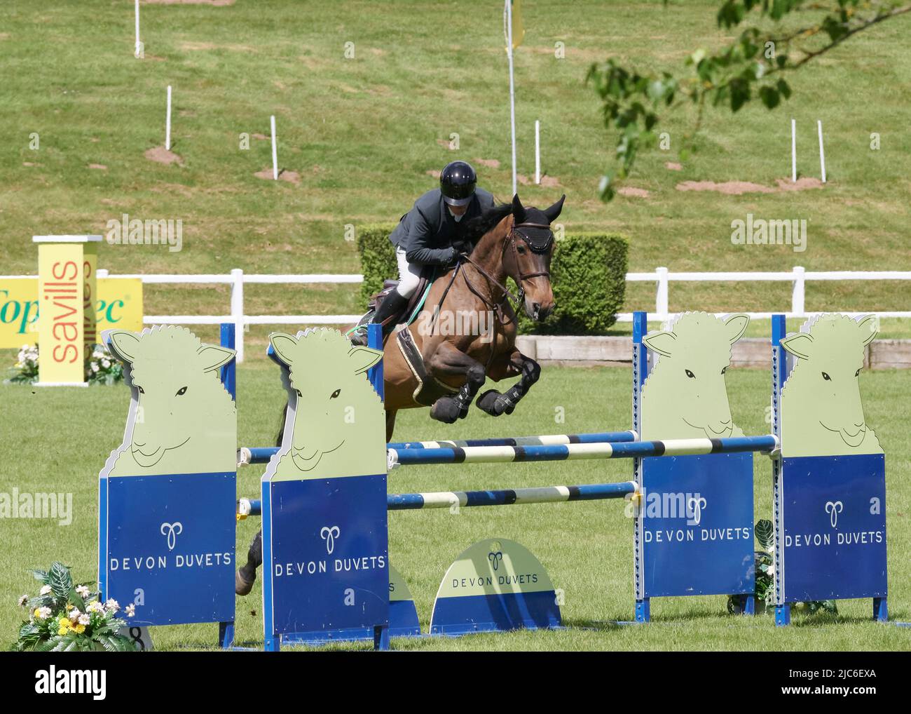 Britisches senioren springreiten Stockfotos und -bilder Kaufen - Alamy