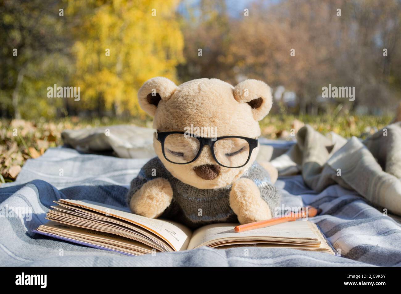 Der gefüllte Teddybär mit Brille liegt im Herbstpark wie beim Lesen ...