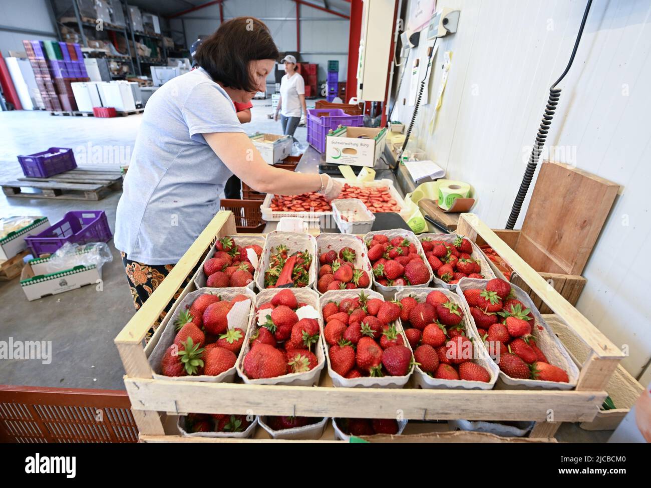 Neuenstadt, Deutschland. 10.. Juni 2022. Ein Mitarbeiter des Landwirts Niko von Mentzingen ...