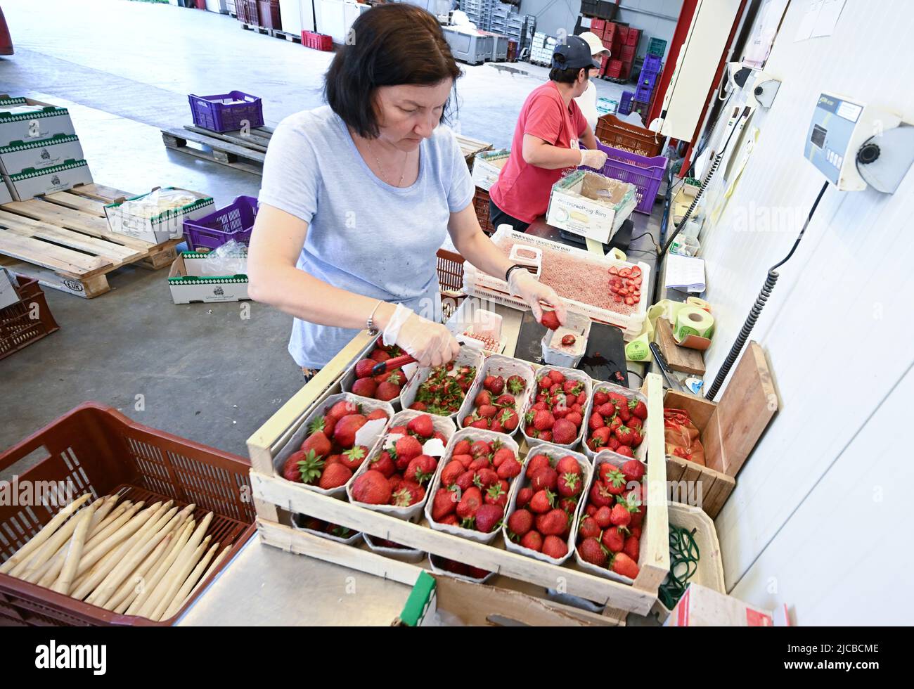 Neuenstadt, Deutschland. 10.. Juni 2022. Ein Mitarbeiter des Landwirts Niko von Mentzingen ...