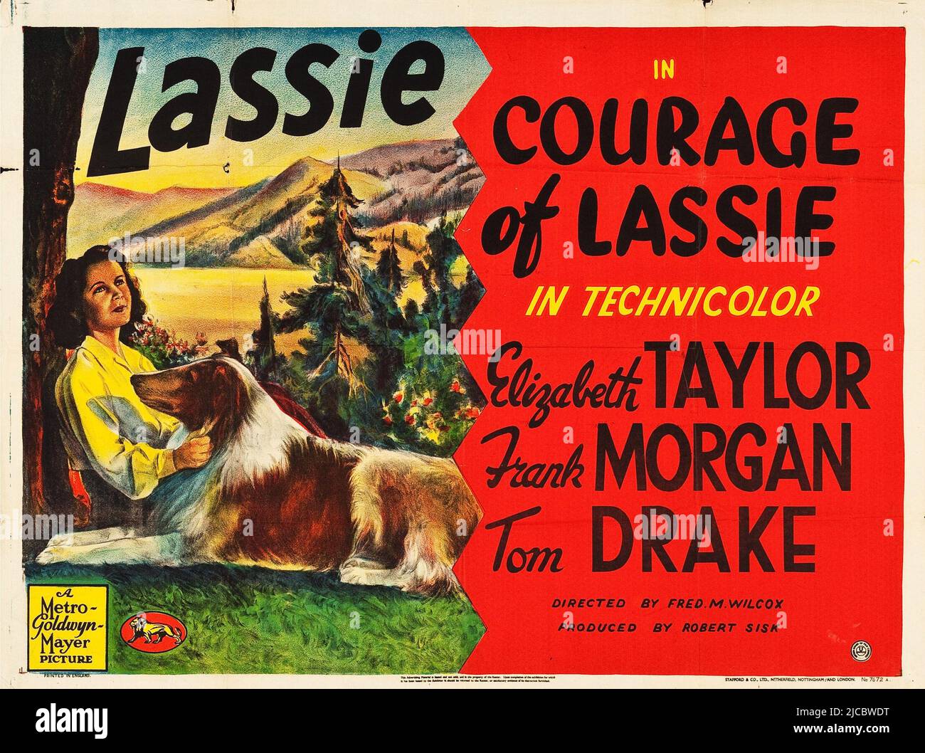 Courage of lassie -Fotos und -Bildmaterial in hoher Auflösung – Alamy
