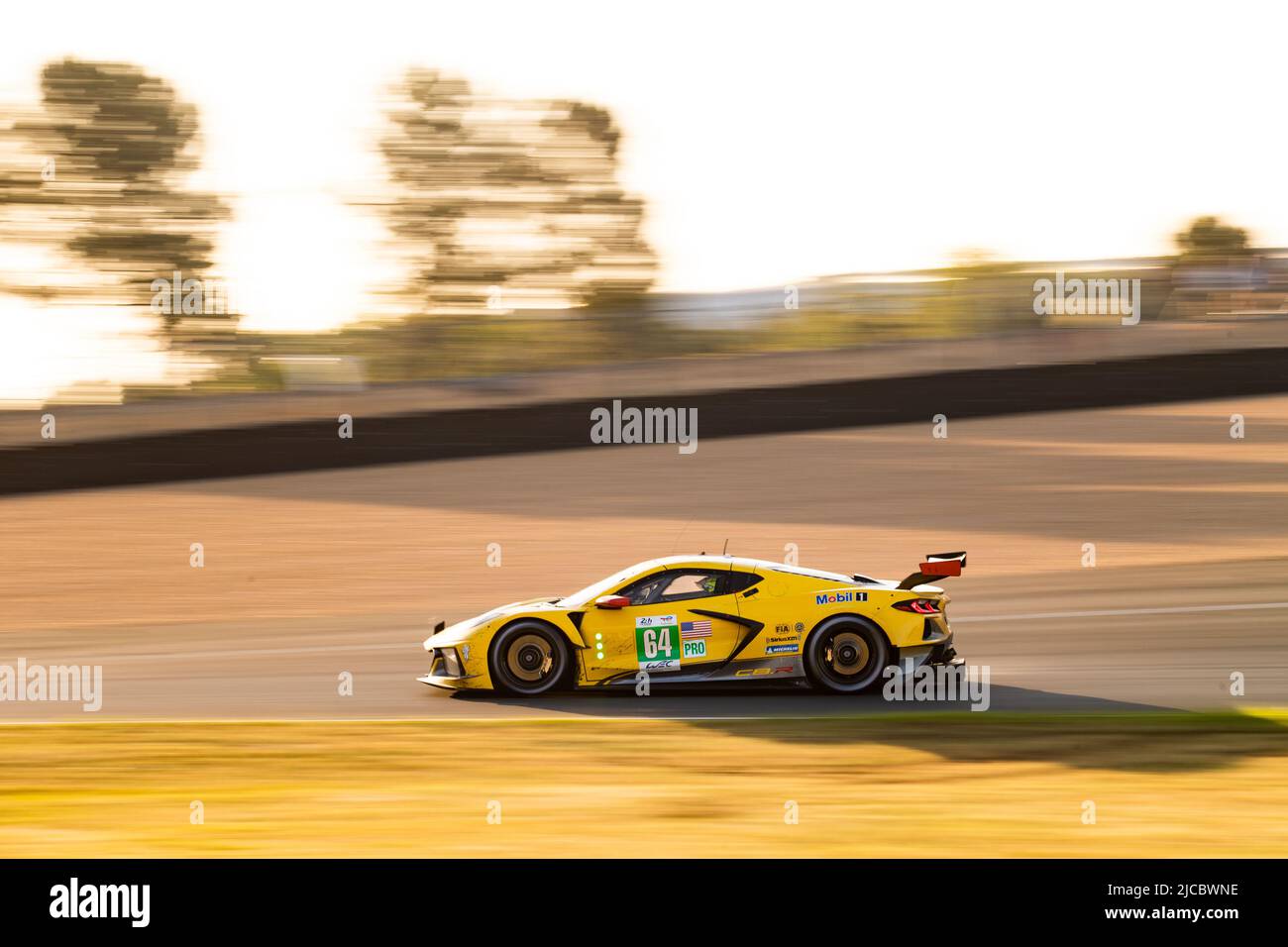 64 MILNER Tommy (usa), TANDY Nick (gbr), SIMS Alexander (ger), Corvette ...