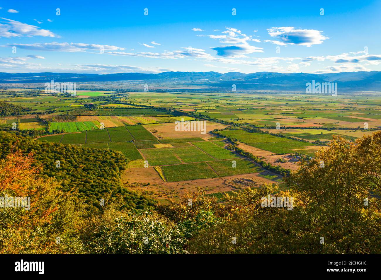 Alazani Valley in Kacheti. Kacheti ist eine Region im Osten Georgiens ...