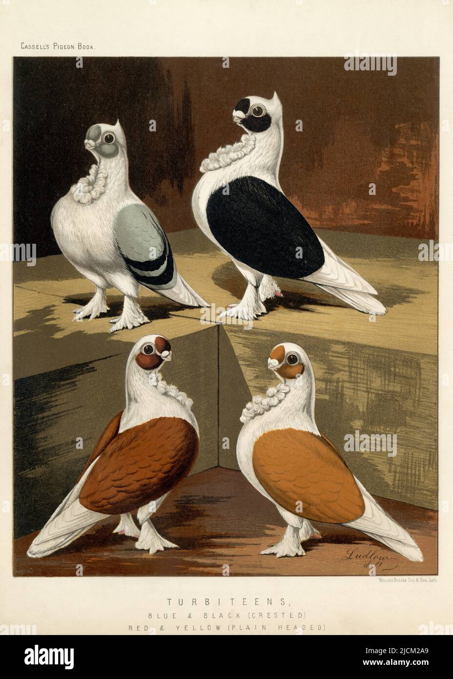 Künstler joseph williamson ludlow 1840 1916 -Fotos und -Bildmaterial in ...