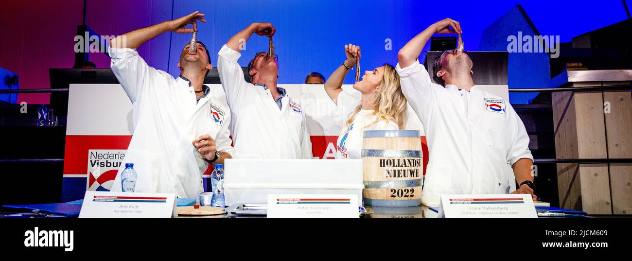 Hollandse nieuwe haring -Fotos und -Bildmaterial in hoher Auflösung – Alamy