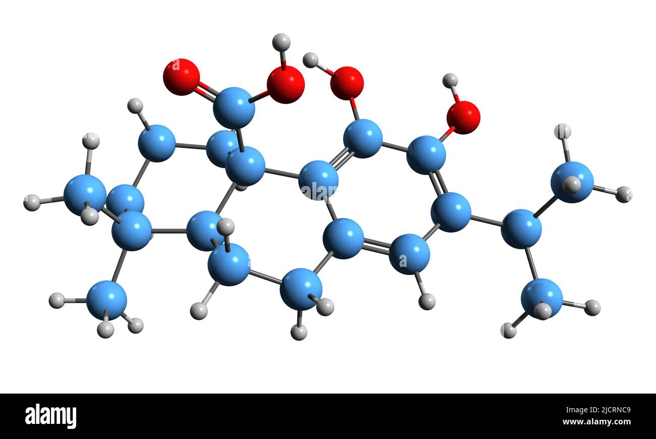 3D Bild der Skelettformel der Carnosssäure - molekulare chemische ...