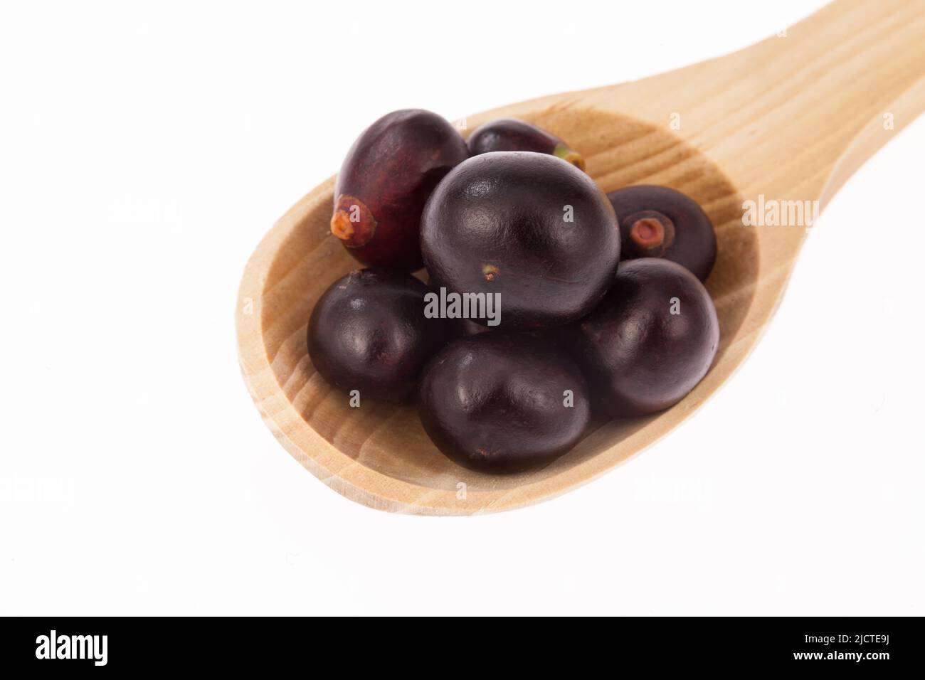 Acai palmbeere -Fotos und -Bildmaterial in hoher Auflösung – Alamy