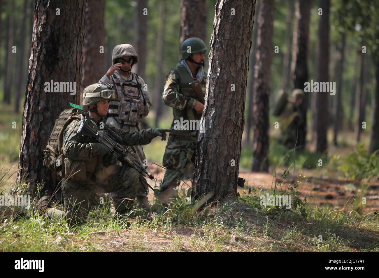 Ein US-Marine mit Charlie Company, 1. Bataillon, 8. Marine Regiment (1/ ...