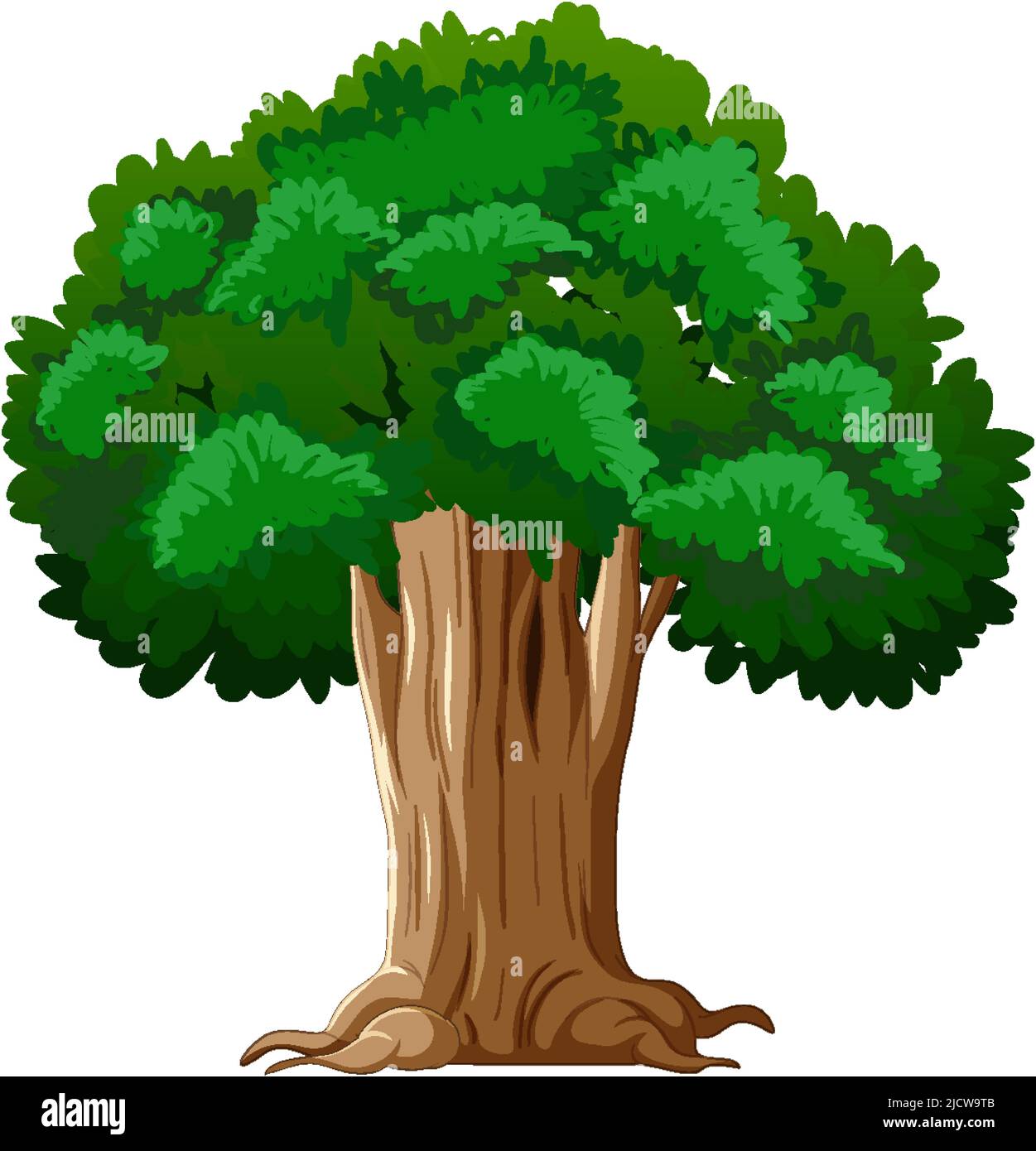 Großer Baum isoliert Cartoon-Illustration Stock-Vektorgrafik - Alamy