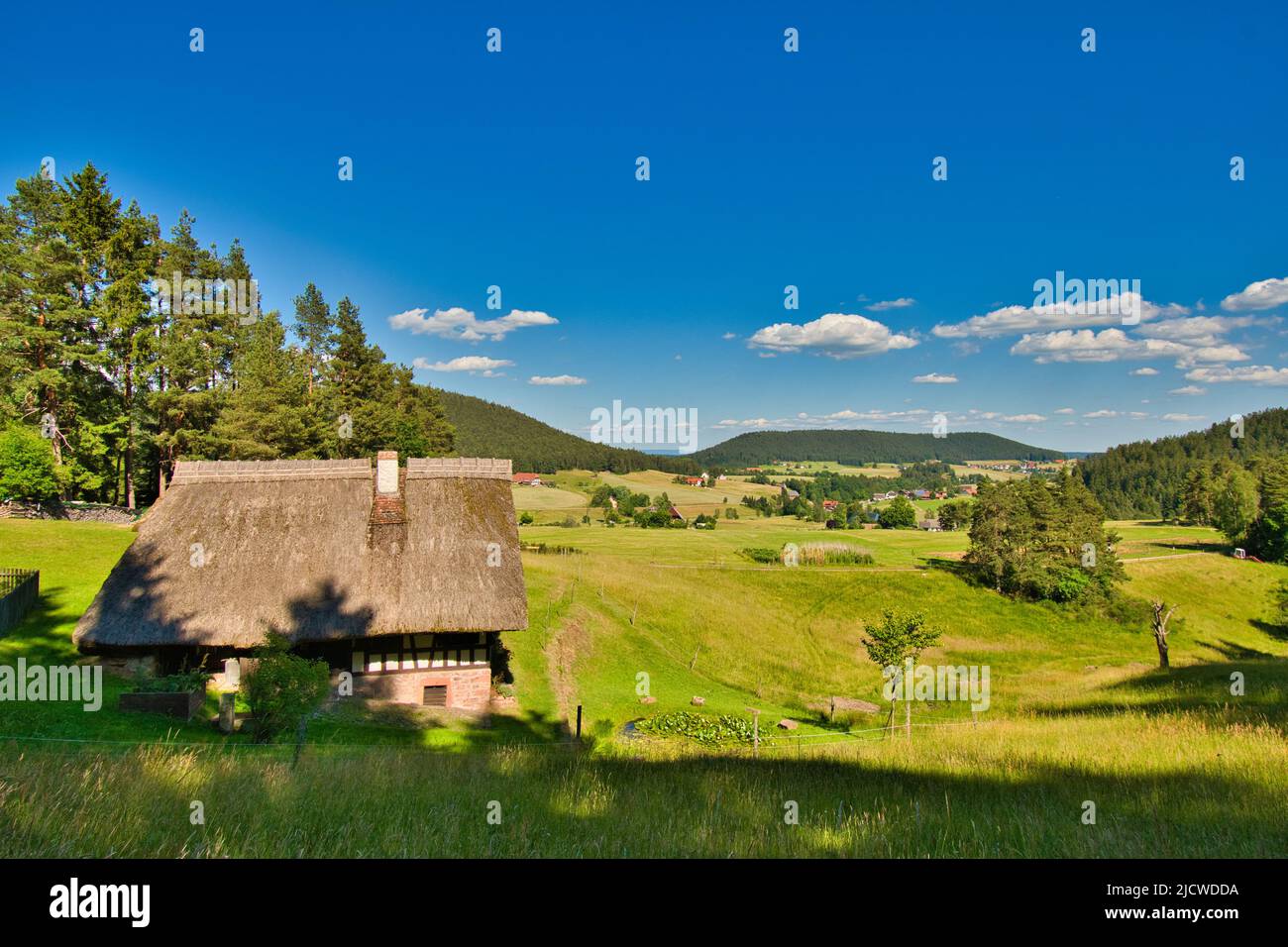 Landschaft bei Lauterbach im Schwarzwald in deutschland Stockfotografie ...
