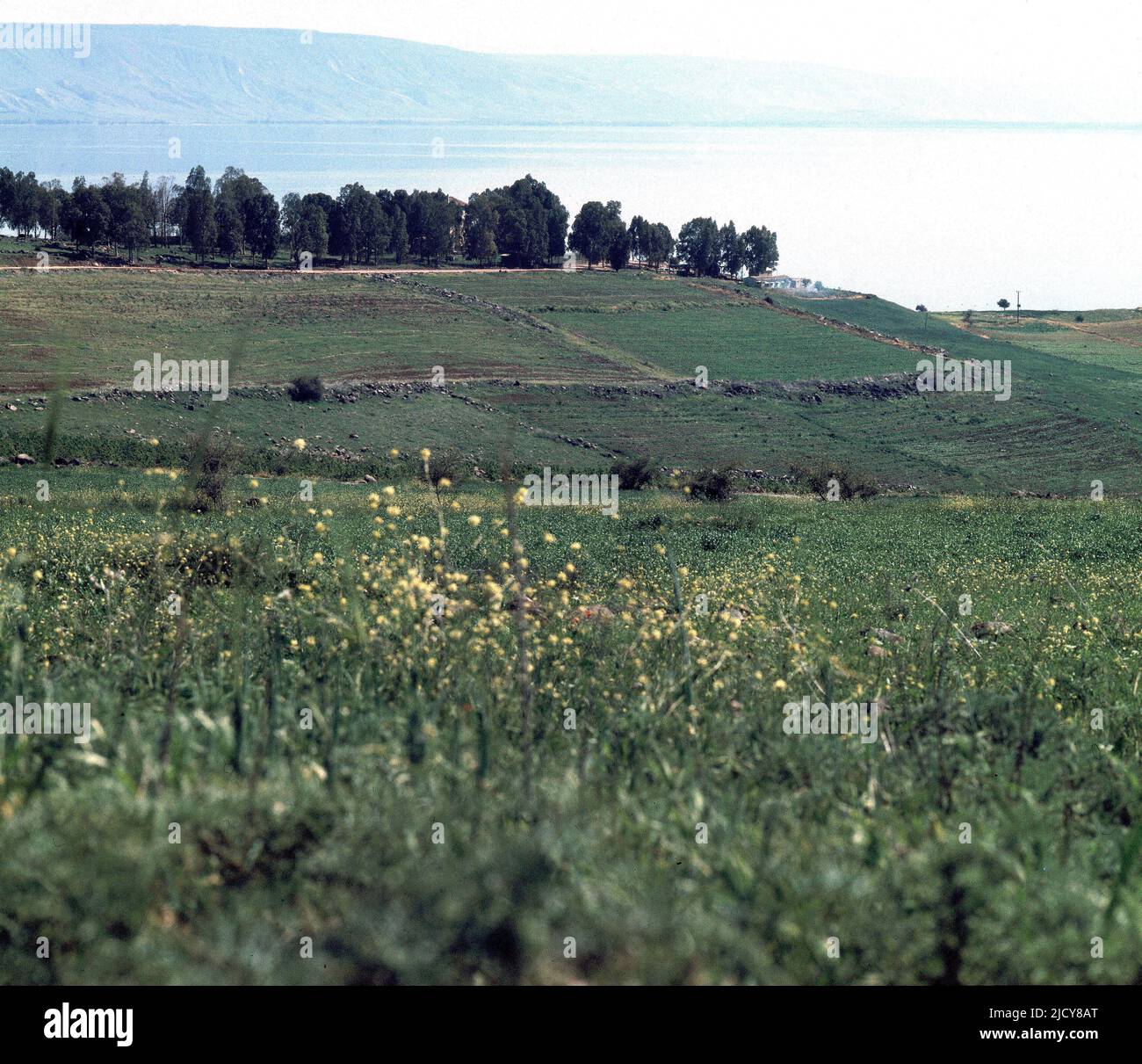 LAGO TIBERIADES Y LUGAR DE CAFARNAUN DESDE MONTE BIENAVENTURANZAS ...