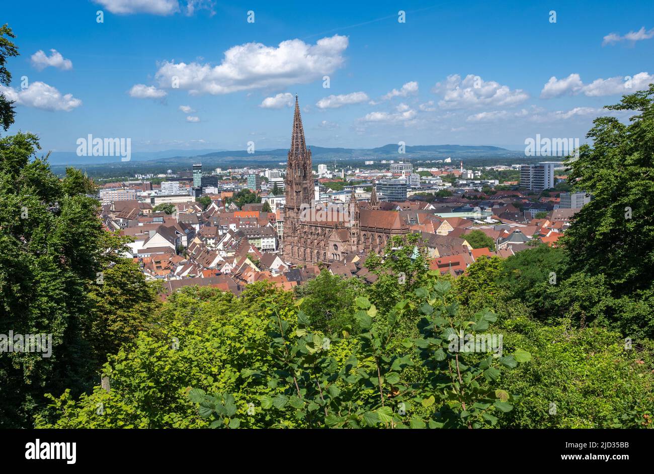 Überblick über den Münster unserer Lieben Frau und die Stadt Freiburg ...