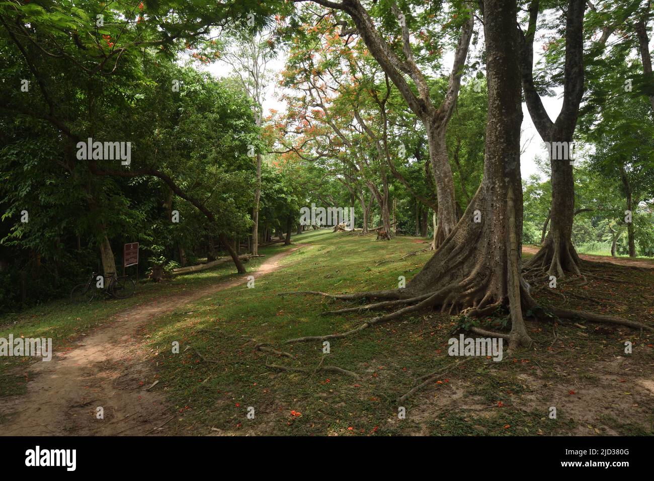 Der alte Hügel von Chandraketugarh oder die befestigte Stadt des Königs ...