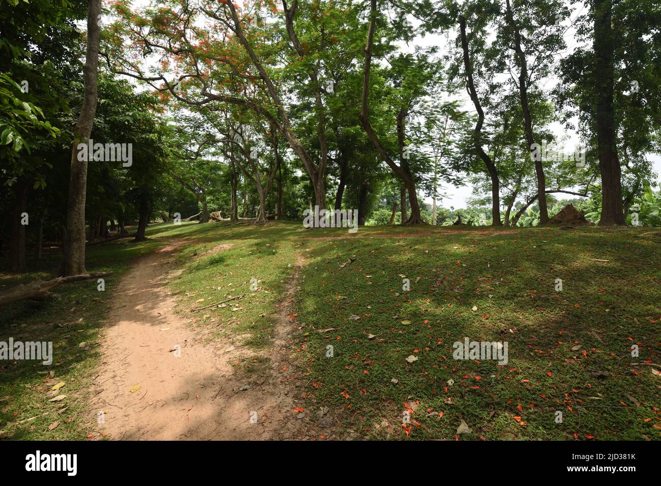 Der alte Hügel von Chandraketugarh oder die befestigte Stadt des Königs ...