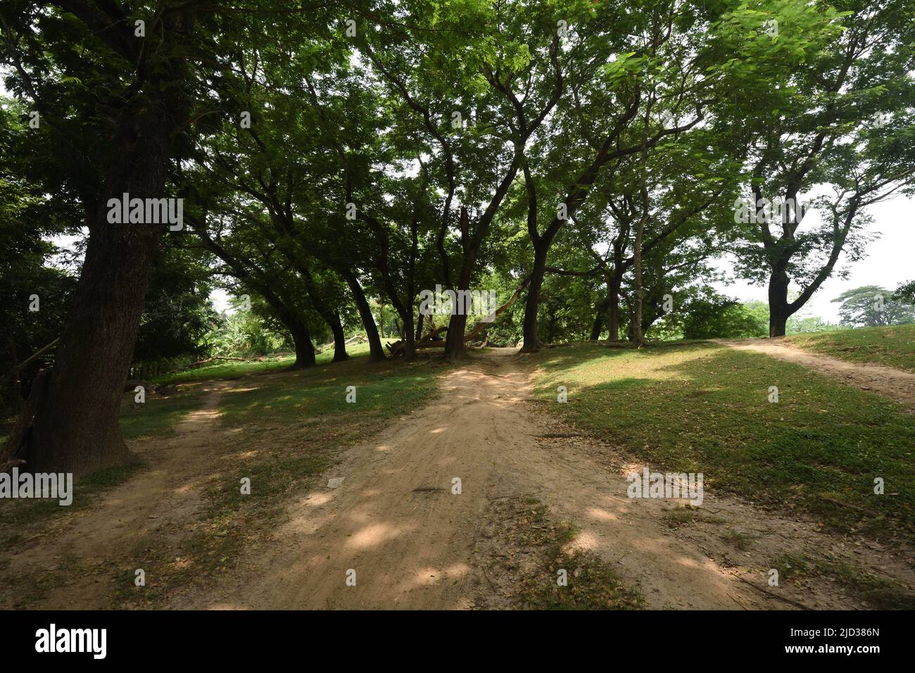 Der alte Hügel von Chandraketugarh oder die befestigte Stadt des Königs ...