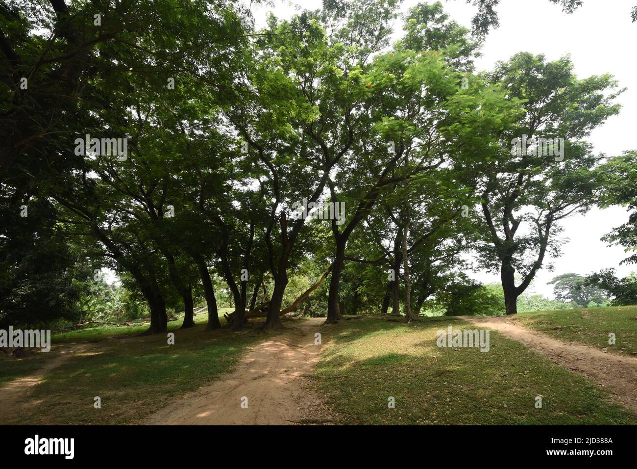 Der alte Hügel von Chandraketugarh oder die befestigte Stadt des Königs ...