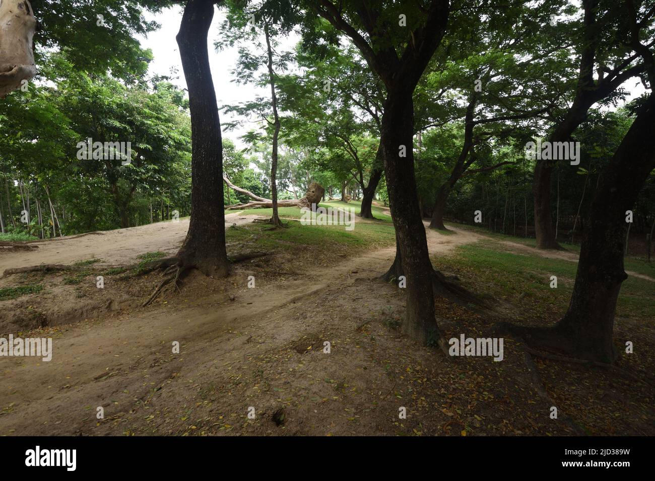 Der alte Hügel von Chandraketugarh oder die befestigte Stadt des Königs ...